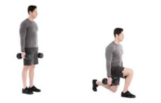 Top 7 Quad Workouts With Dumbbells – Benefits and How to Do It?